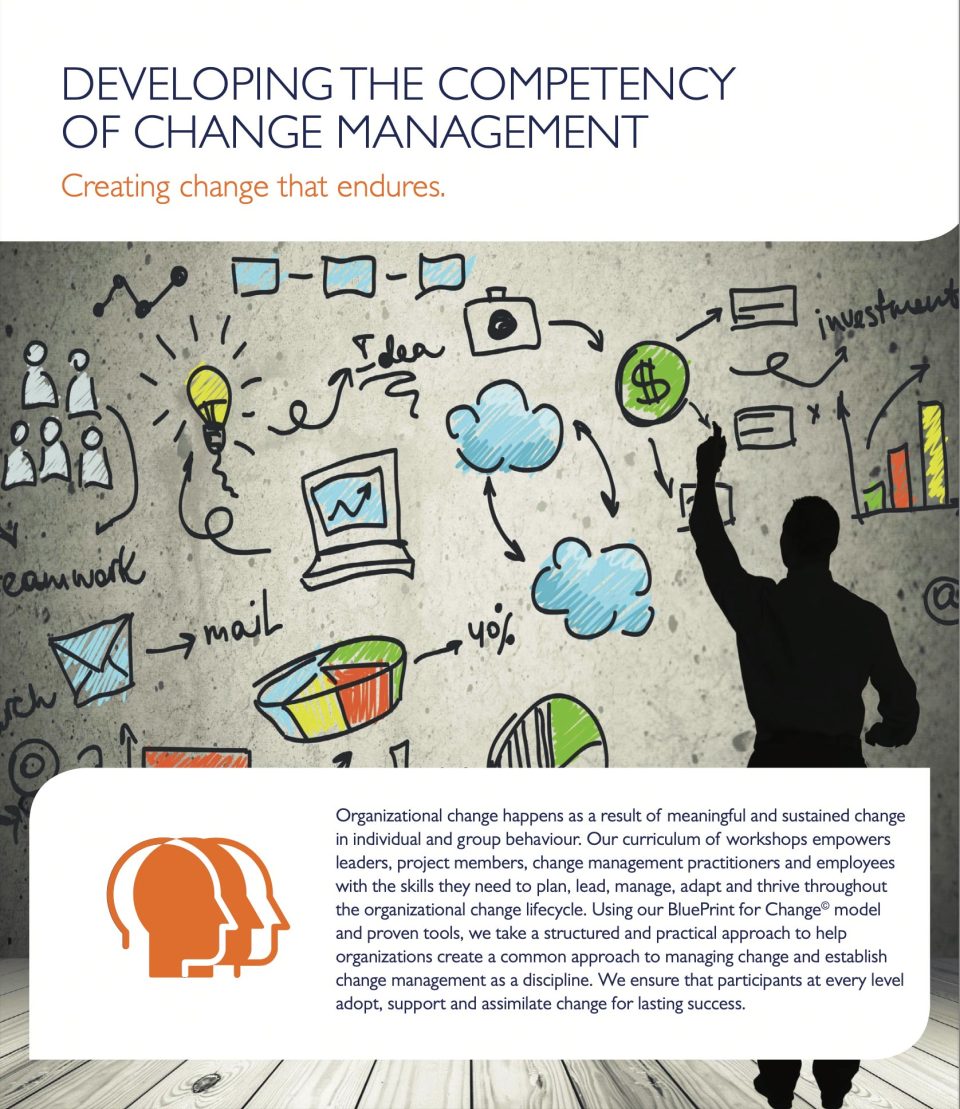 Change Strategy & Implementation - Bellwether Transformations