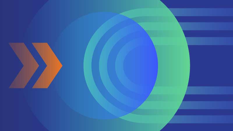 Training - Bellwether Transformations